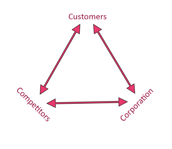 Ohmae's 3C Model | Aicura